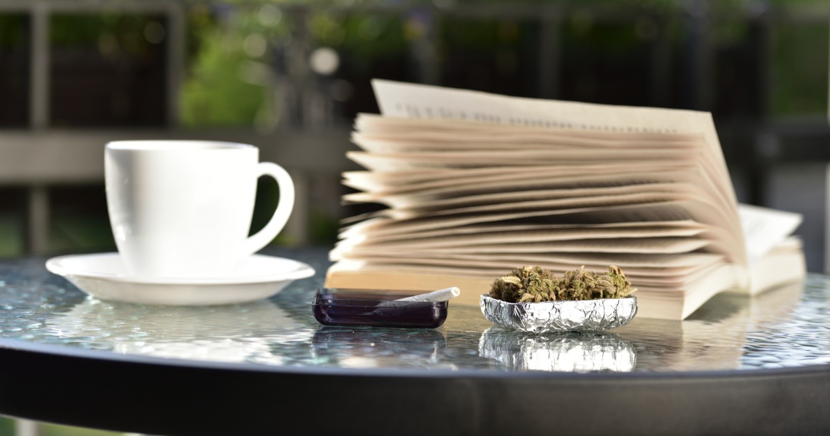 Best Books On Cannabis - 7 Enlightening Books You Need To Read